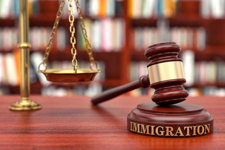 What Is TPS in the USA – 2026 Guide | Lluis Law